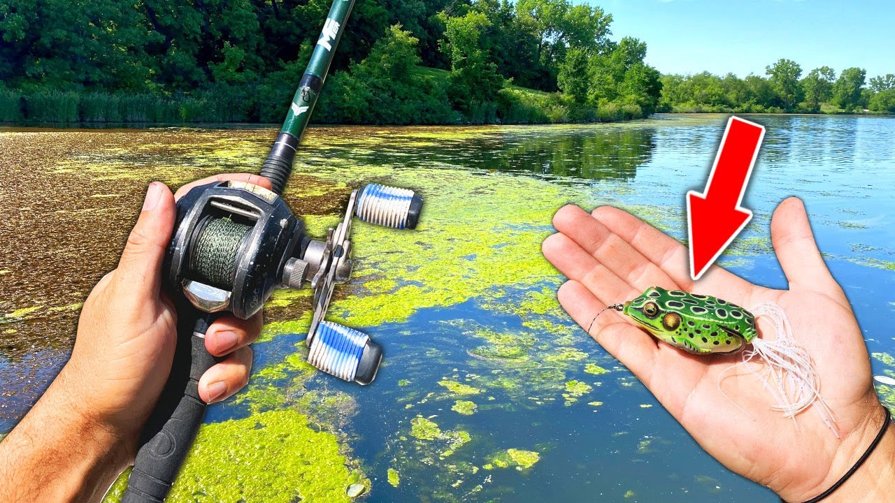 Searching for big bass during the heat of the day