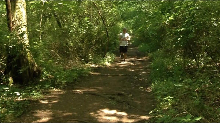 Small Bite, Big Impact: Fighting Ticks