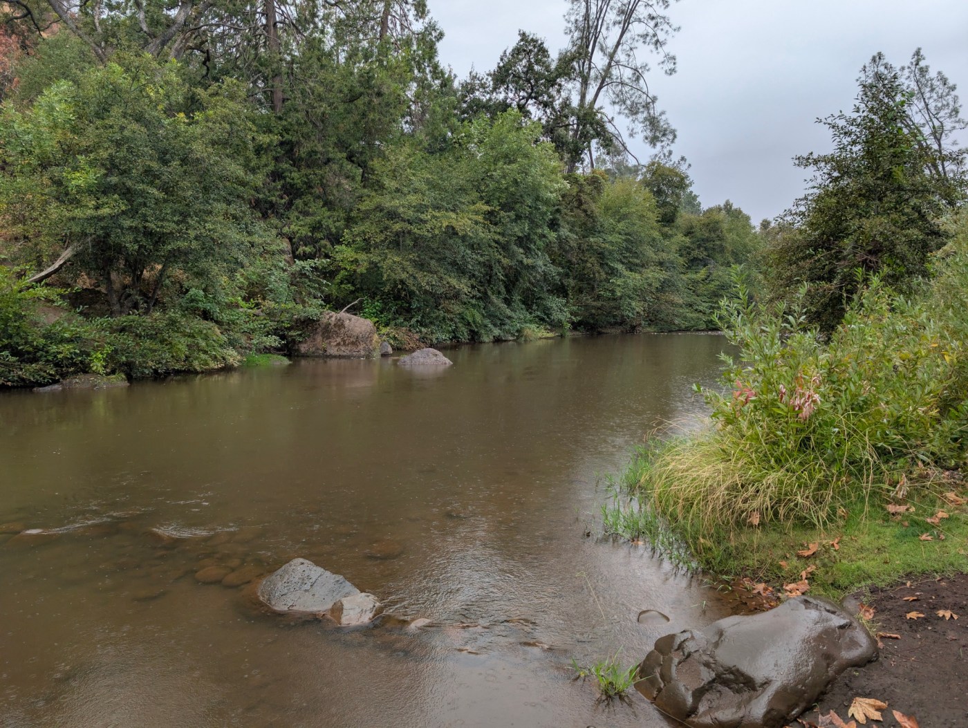 Fall storm drops rain on north state