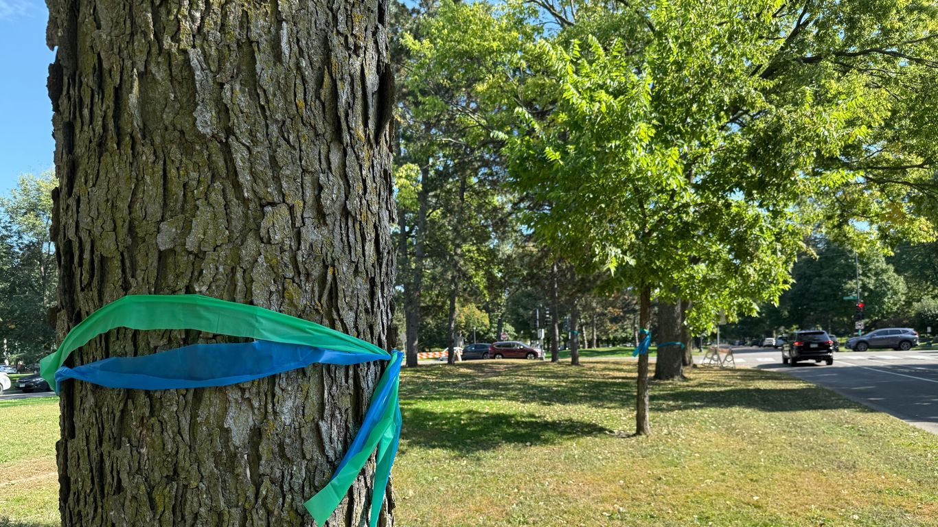 Why you'll see blue and green ribbons along the Twin Cities Marathon route