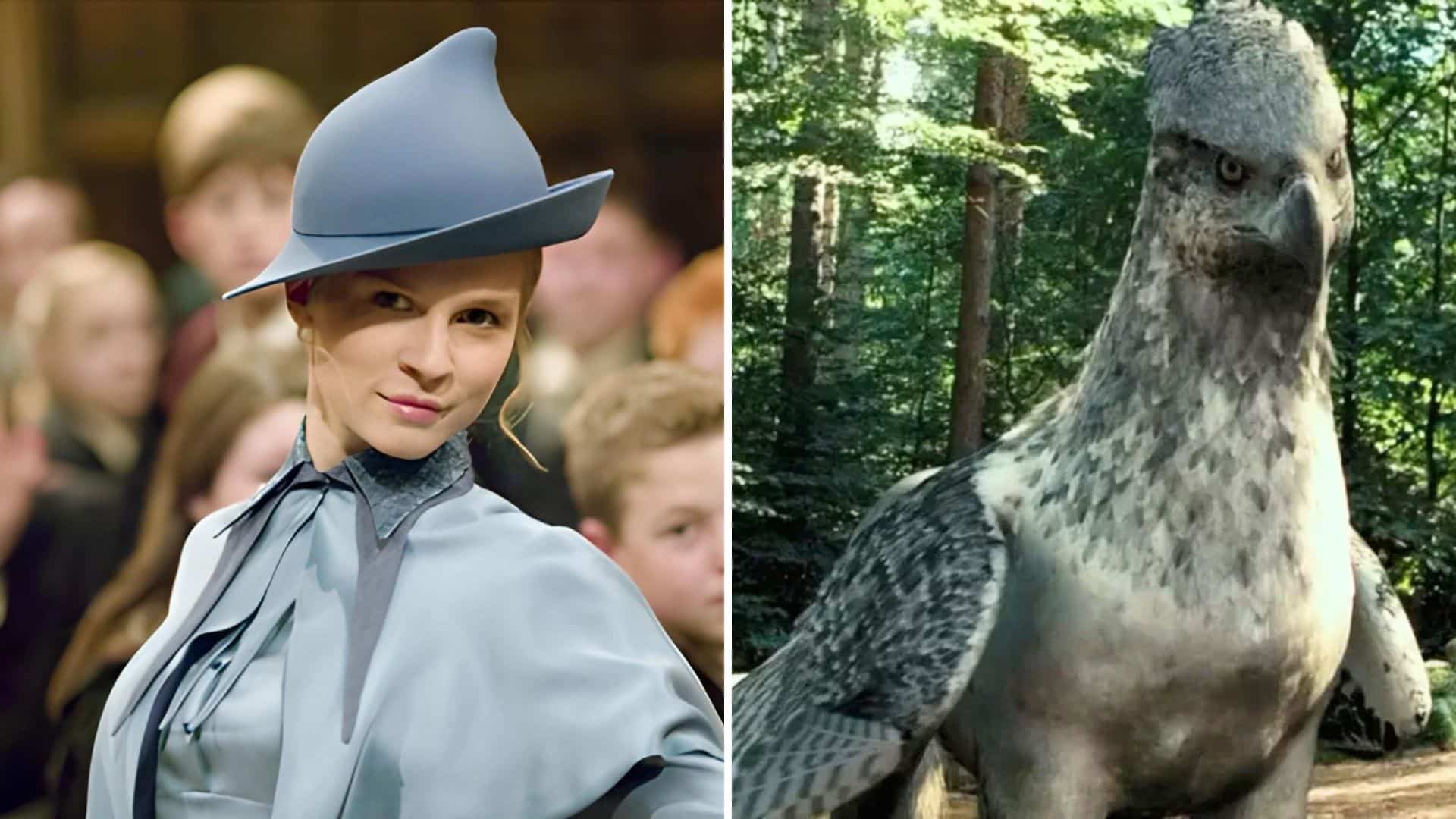 23 Harry Potter Beasts With Real-Life Origins