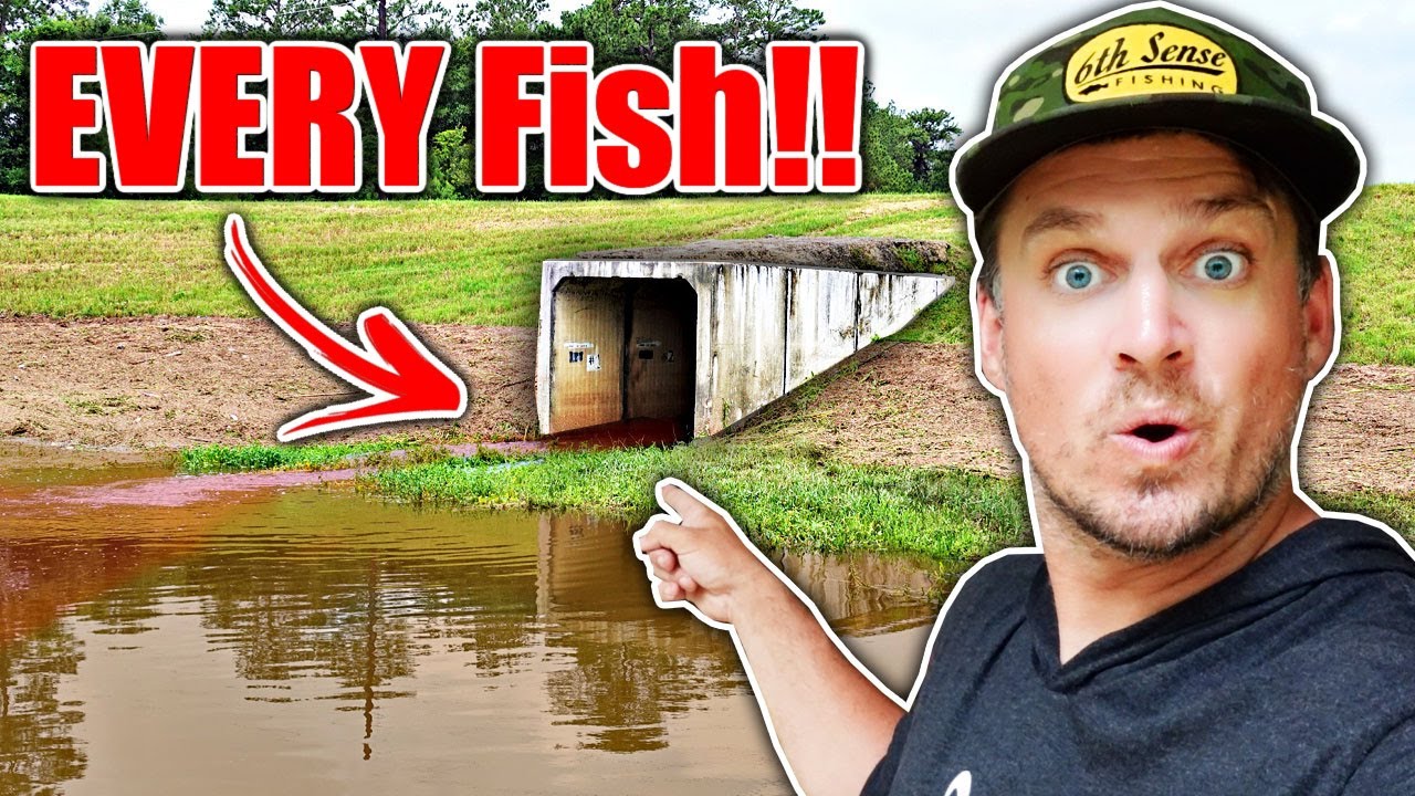 Texas floods push every fish into heavy current spillways