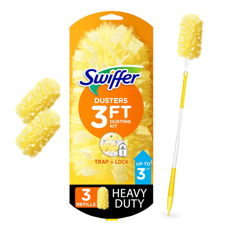 Cobwebs vs spider webs: The key difference you need to know