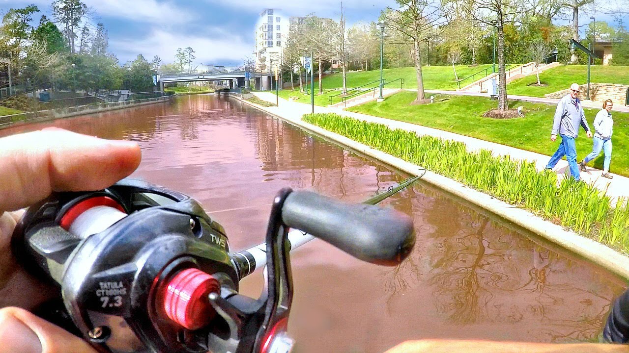 This urban canal produced a one in a million catch