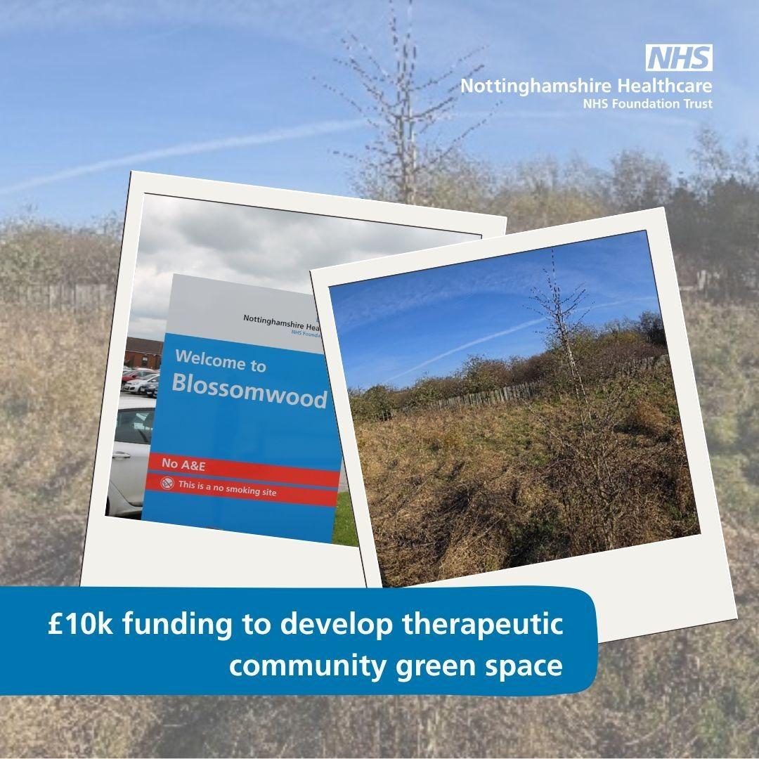 Nottinghamshire Healthcare secures £10k funding to develop therapeutic ...