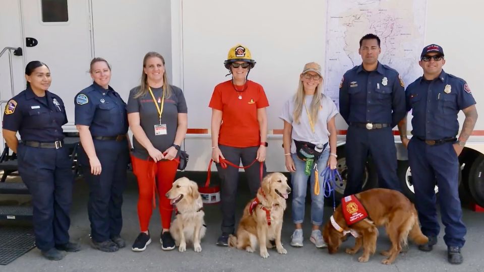 First responders endure high levels of stress. These dogs can lighten ...
