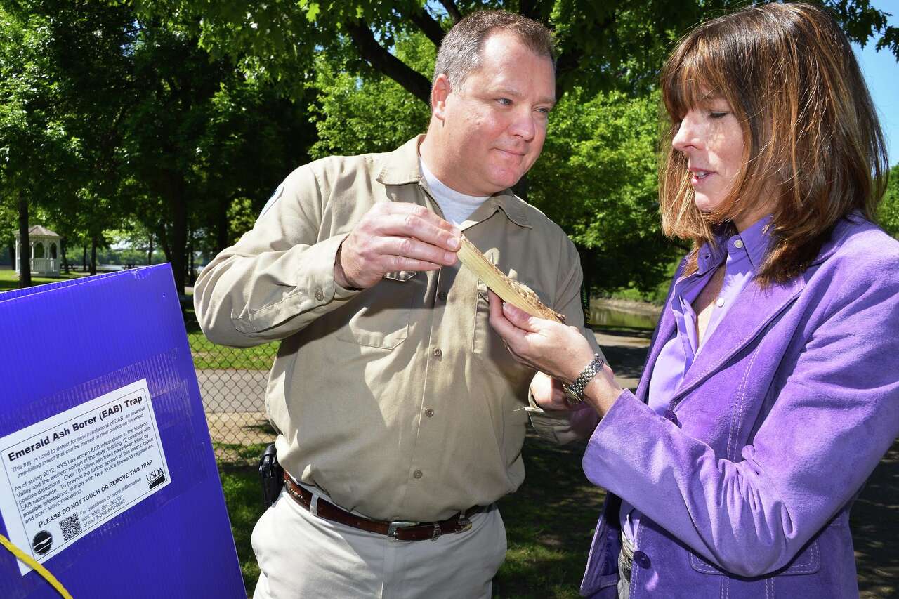 Hochul taps new Parks Department leader from Open Space Institute