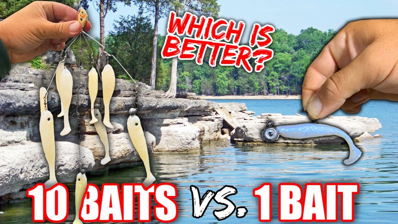 Ten bait experiment reveals surprising fishing results
