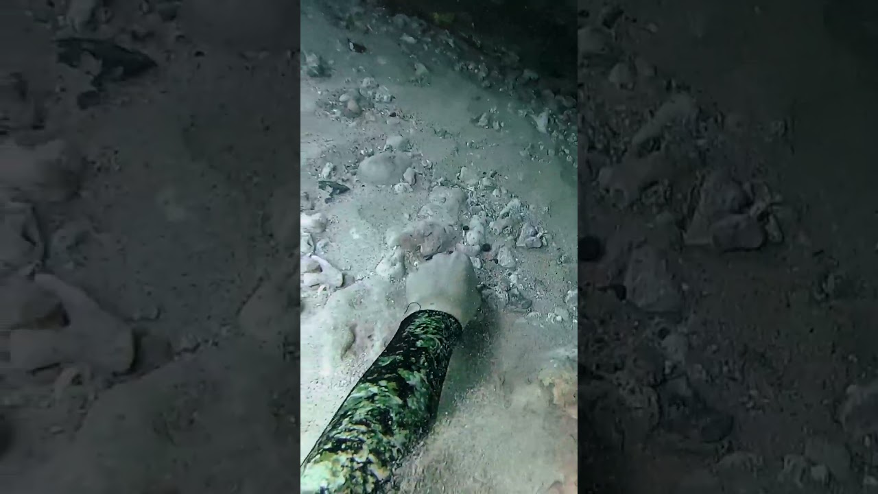 The water bottle was a little sussy. NOT ME