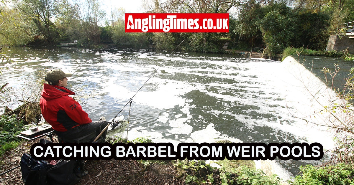 How to catch barbel from weir pools