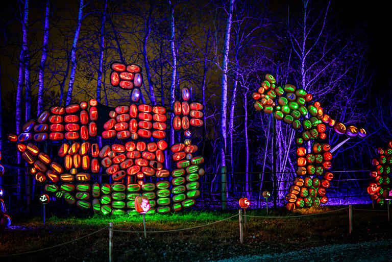 The half-mile Great Pumpkin Trail is back at Pinehaven Farm for a ...