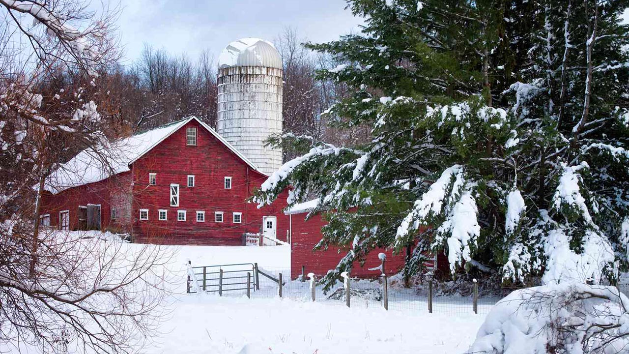 10 Signs We Have A Bad Winter Ahead – According To Folklore