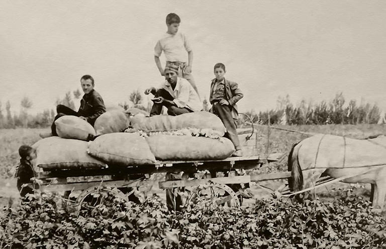 «Το ελληνικό θαύμα στην Τασκένδη»: 100 φωτογραφίες ξυπνούν μνήμες της ...