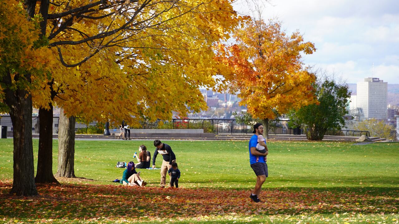 Ottawa's in for another glorious weekend of weather
