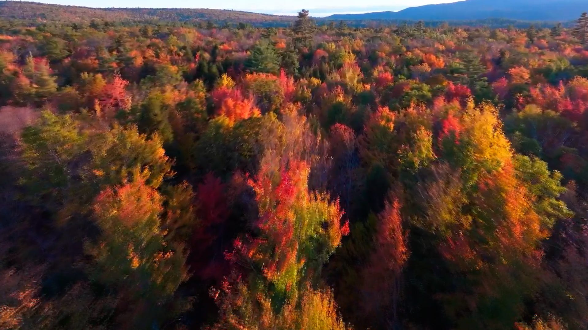 Vibrant fall foliage transforms landscapes with brilliant reds, oranges ...