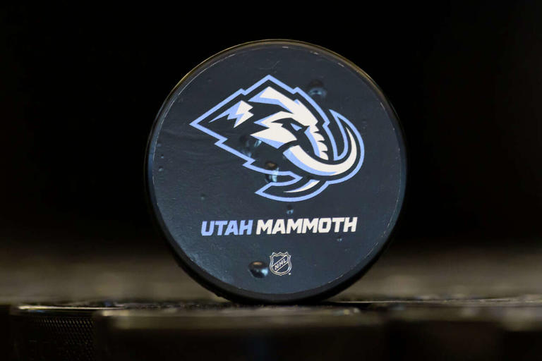 NHL's Utah Mammoth face trademark injunction over merch sales