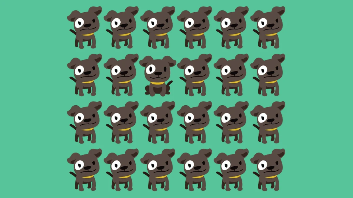 Only 1% with hawk eyes can find the odd puppy in 5 seconds!