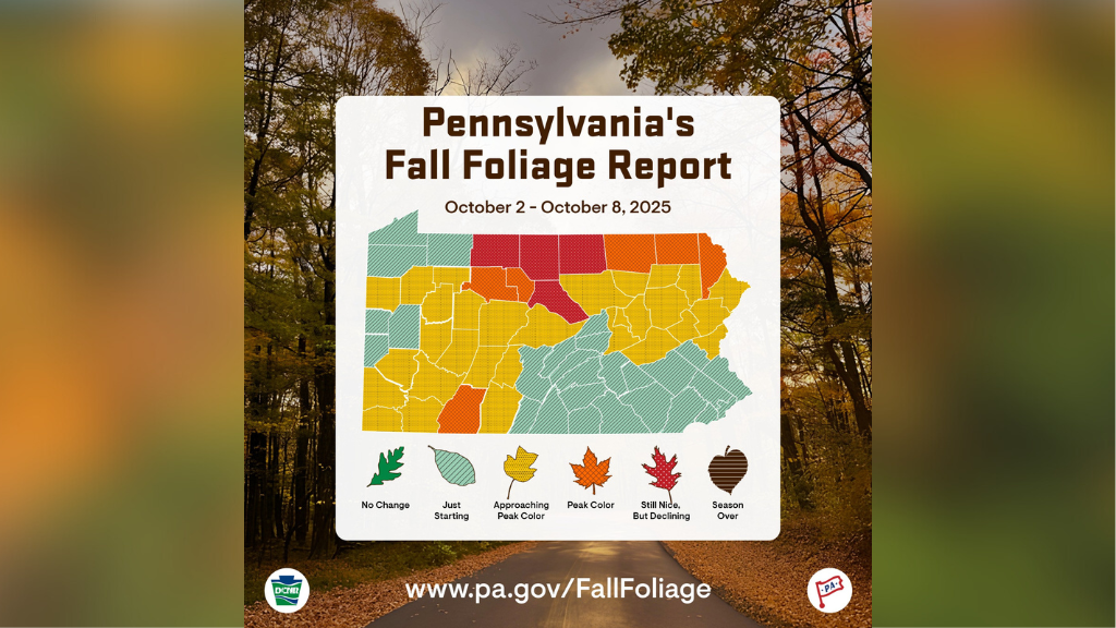 Western Pennsylvania approaching peak fall foliage this week