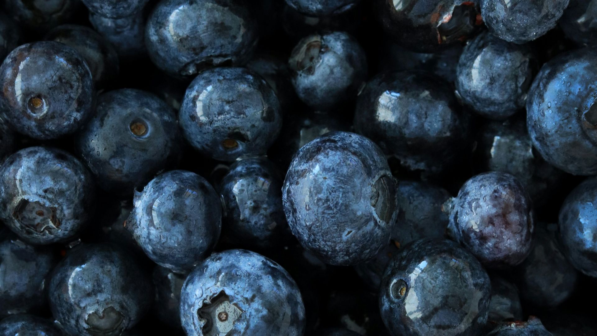 10 Superfoods That Deserve The Hype & 10 That Don’t