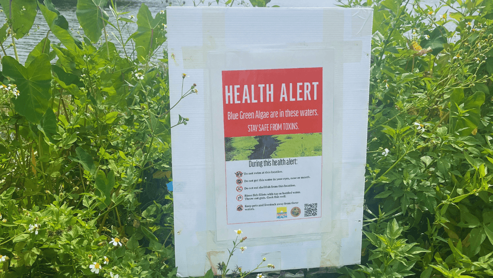 Blue-green algae bloom in Destin lake prompts warnings from state ...