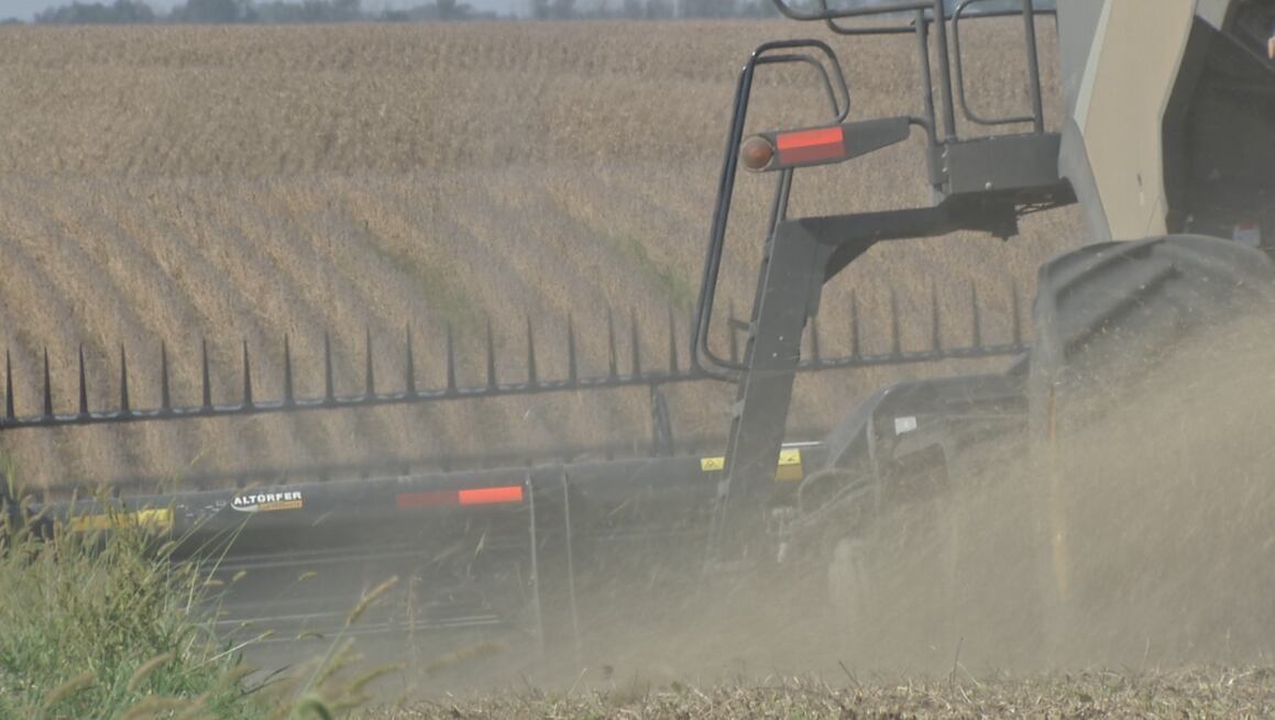 Iowa farmer continues to navigate tariffs and soybean harvest conditions