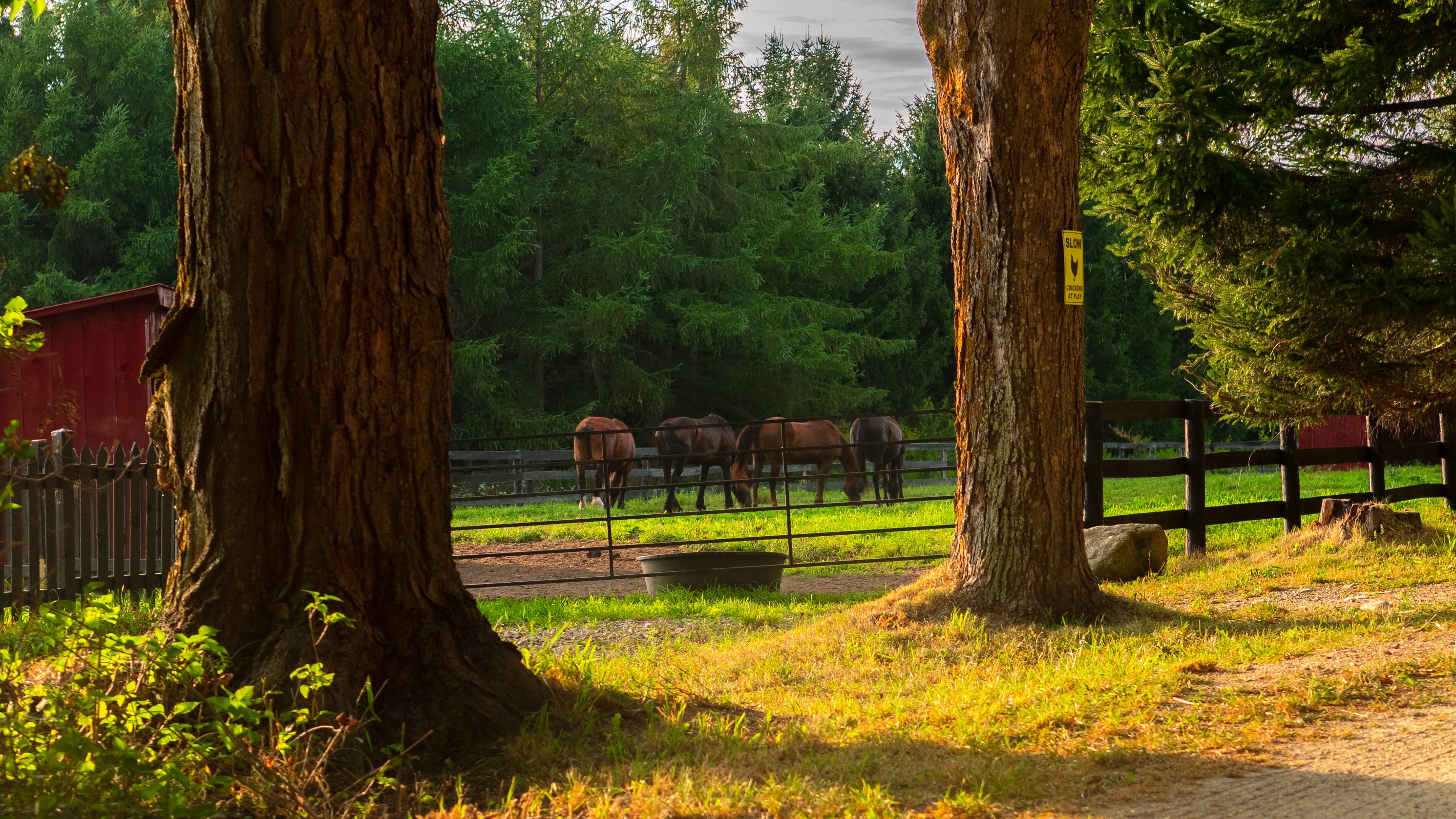 $4.5 million for a Mono estate with a lavender farm, horses and a ...