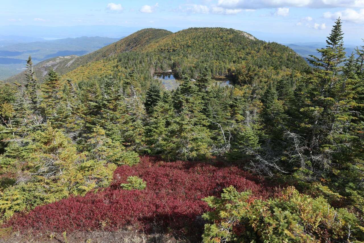 Terns: The right hike with the right dog in the High Peaks