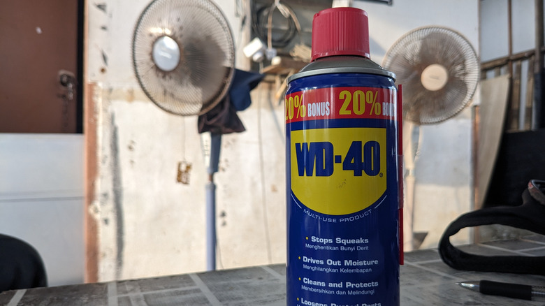 Here's Where You Should Never Store WD-40 In Your Home