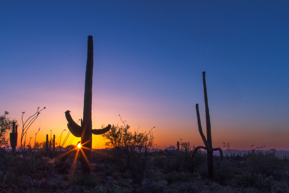 The desert landscapes that make Arizona unforgettable
