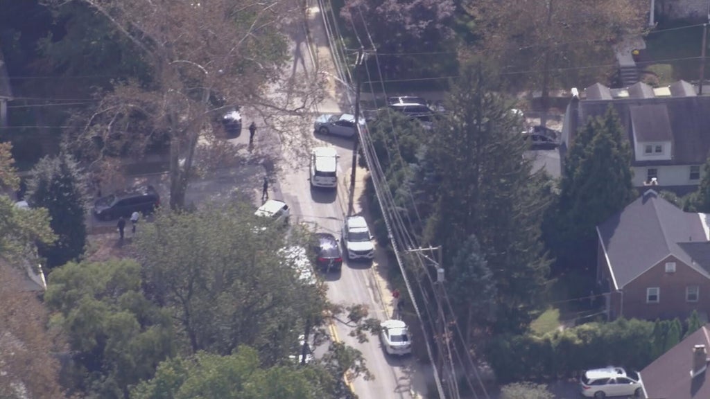 3 suspects in custody after pursuit in Lower Merion, Pa., connected to ...