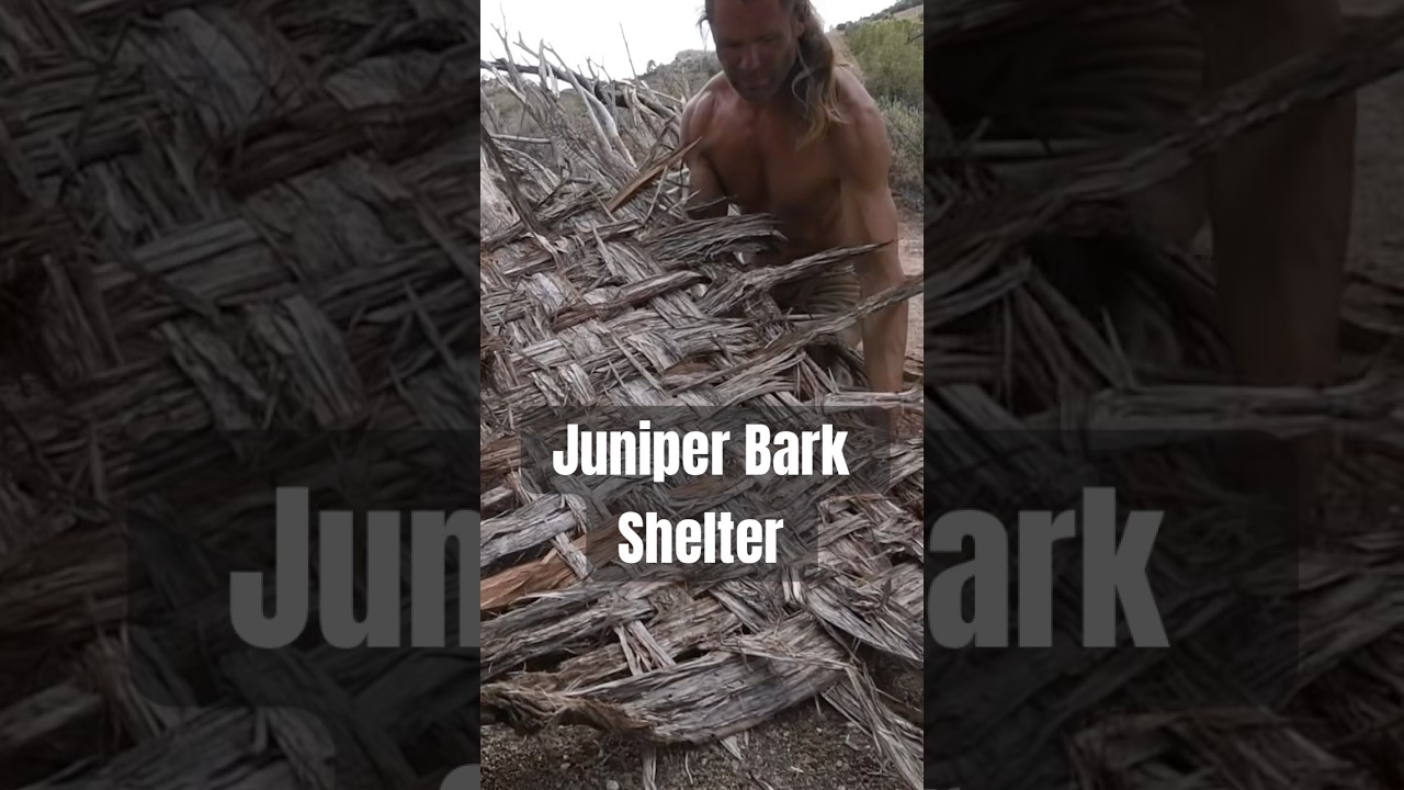 Building a Primitive Shelter Made of Sticks