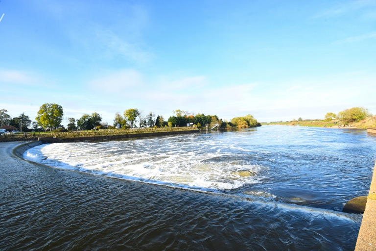 How to catch barbel from weir pools