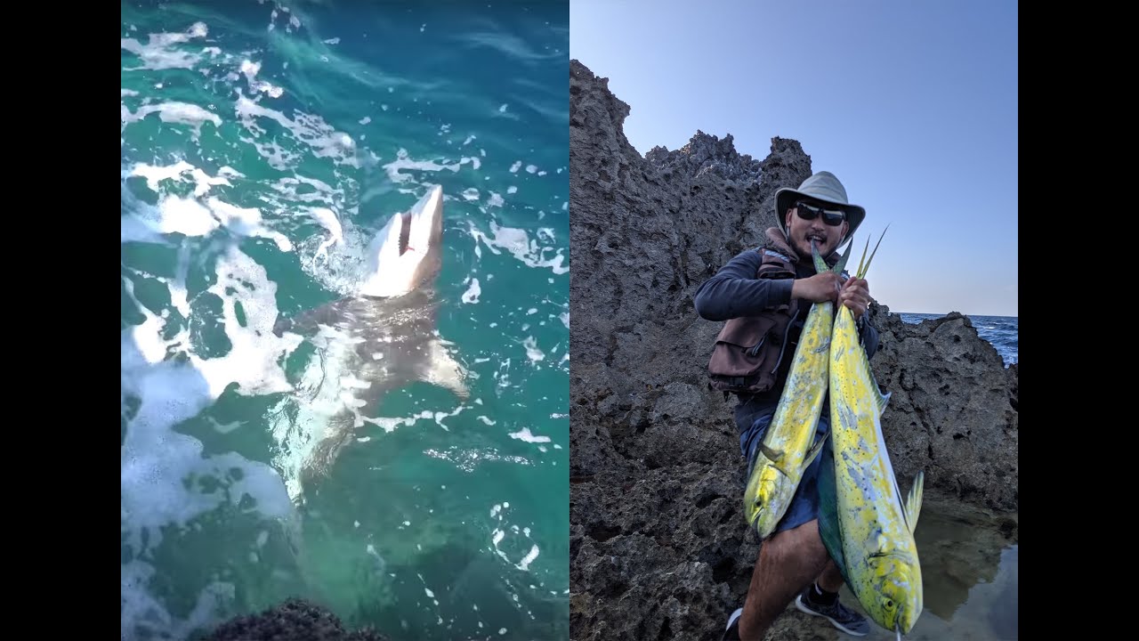 CATCHING A SHARK and Non-Stop Mahi Mahi Action From SHORE