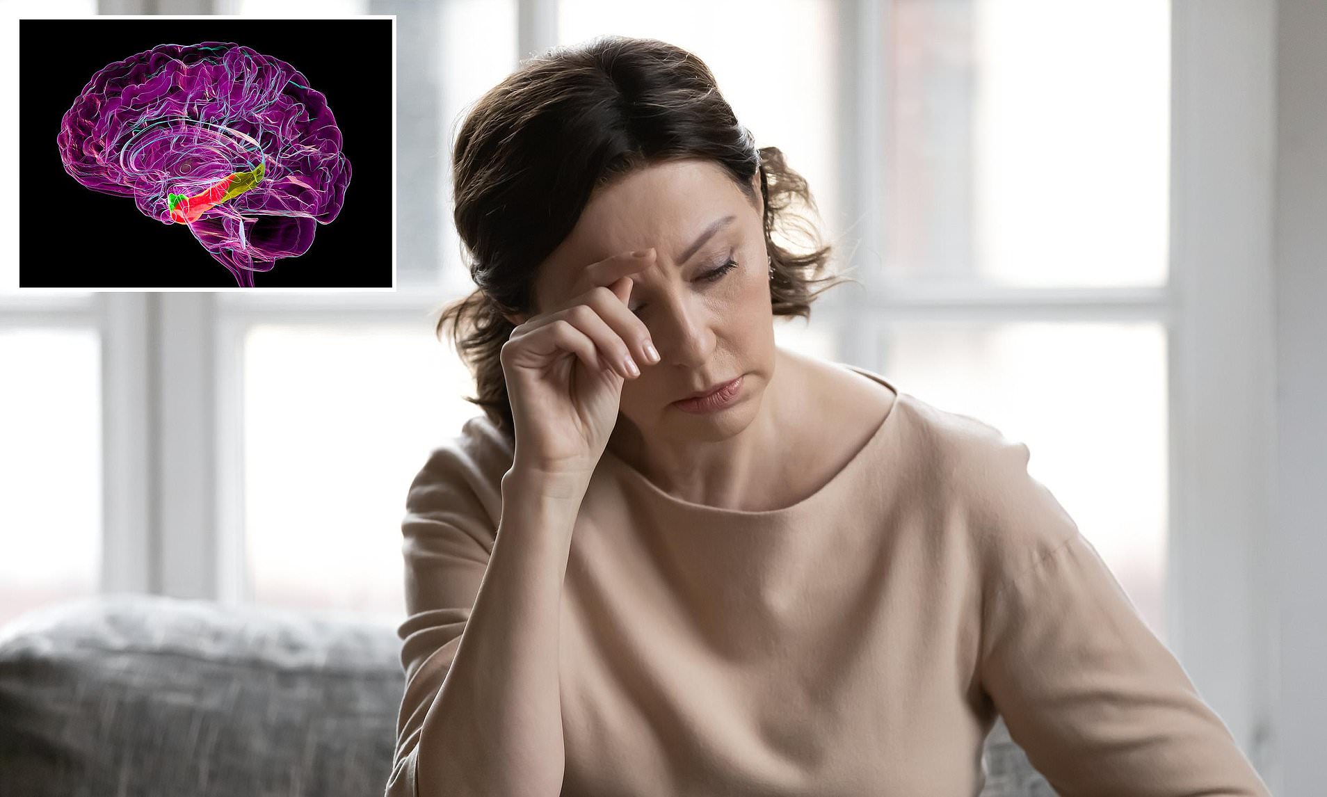 Scientists discover key part of the brain that degrades in Alzheimer's ...