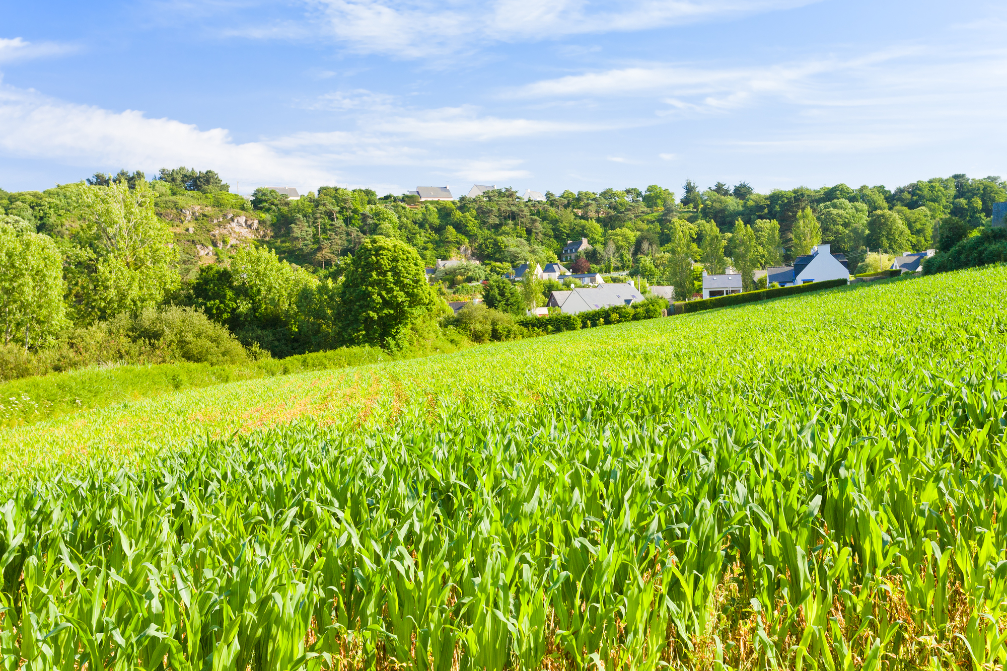 The Smallest Countries with Big Impact