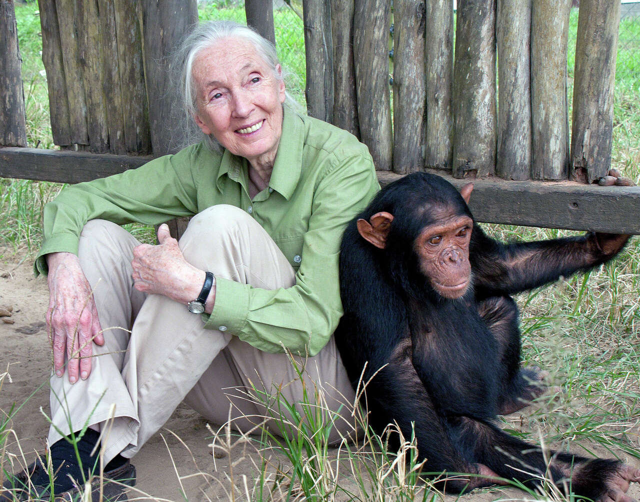 Jane Goodall was a voice for nature and an avatar for hope