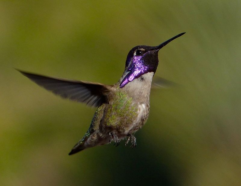 This Underrated Utah State Park Offers Outdoor Fun Every Month of the Year