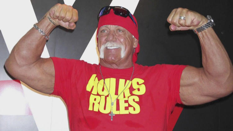 Clearwater Police Department completes its investigation into Hulk ...