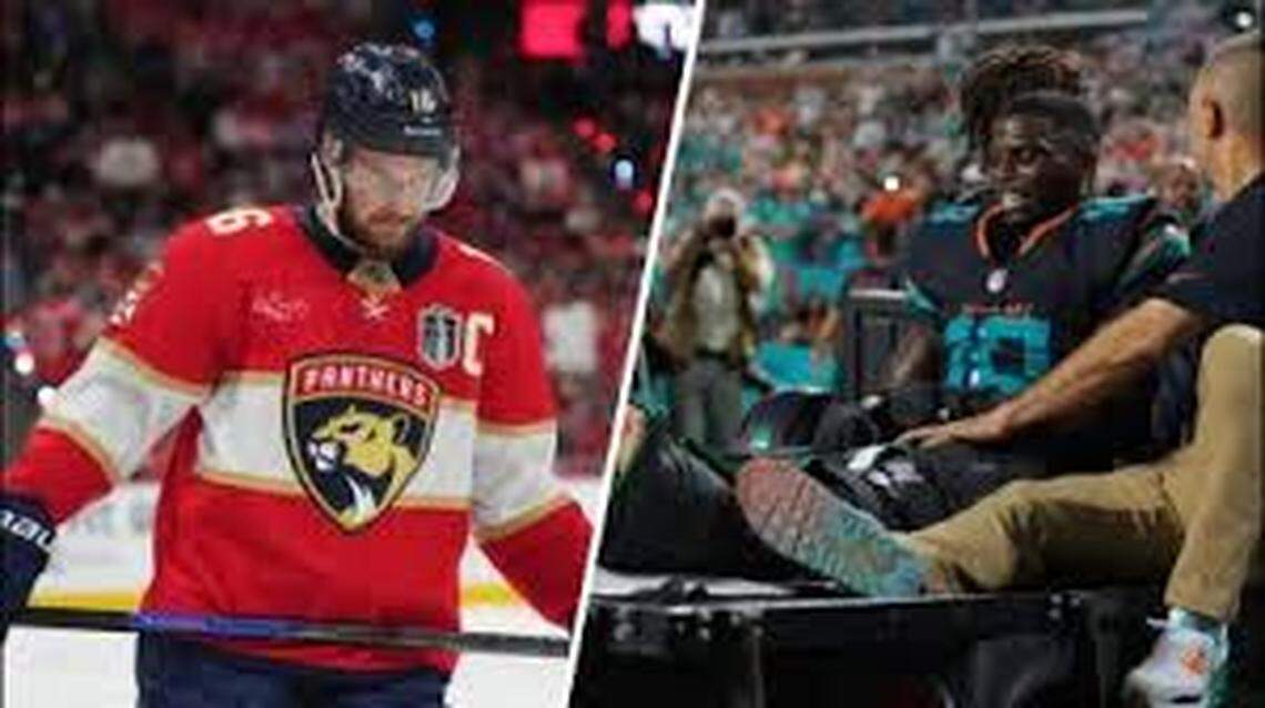 Greg Cote's Poll Dance: Panthers' Barkov or Dolphins' Hill the bigger ...