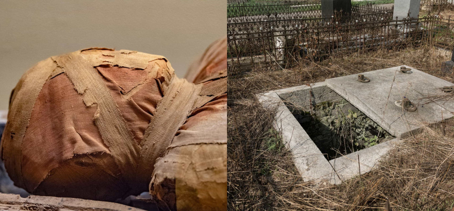 Medicinal cannibalism: when Europeans ate humans