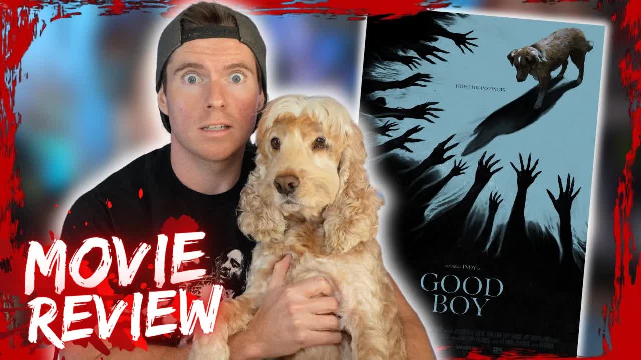 Good boy | Movie review