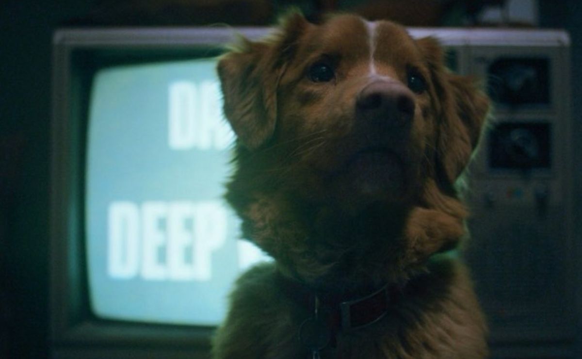 Good Boy Ending: Does the Dog Die at the End?