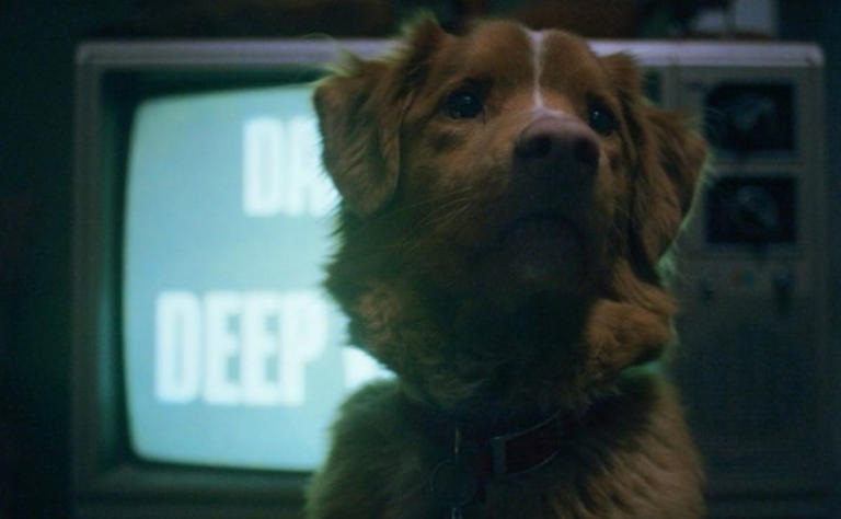 Good Boy Ending: Does the Dog Die at the End?