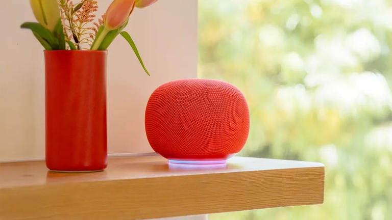 More to come? A leak spotlights a 'Google Home Display' in Home app code