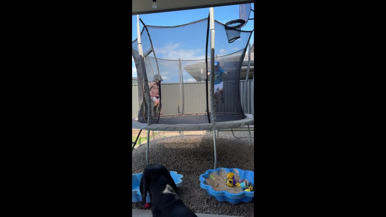 Toddler’s trampoline tumble delights viewers—backyard fail racks up ...