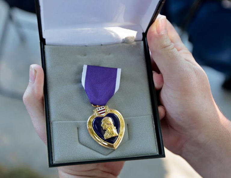 Veteran who lied about Purple Heart status sentenced for stolen valor ...