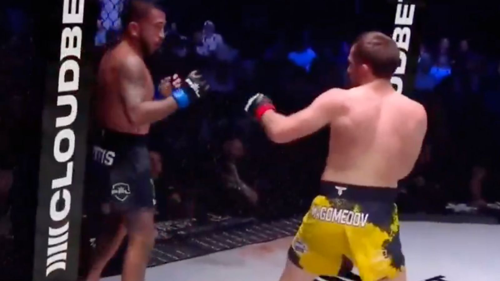 Sergio Pettis Lands Stunning Spinning Back Elbow KO Against Magomed ...