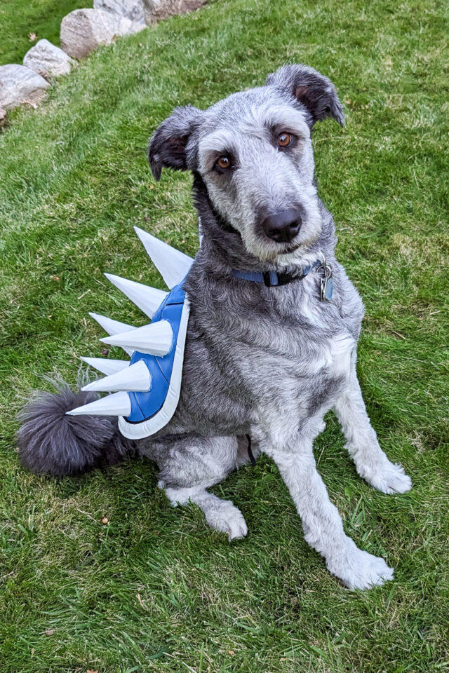 DIY Blue Shell Costume (From Mario)