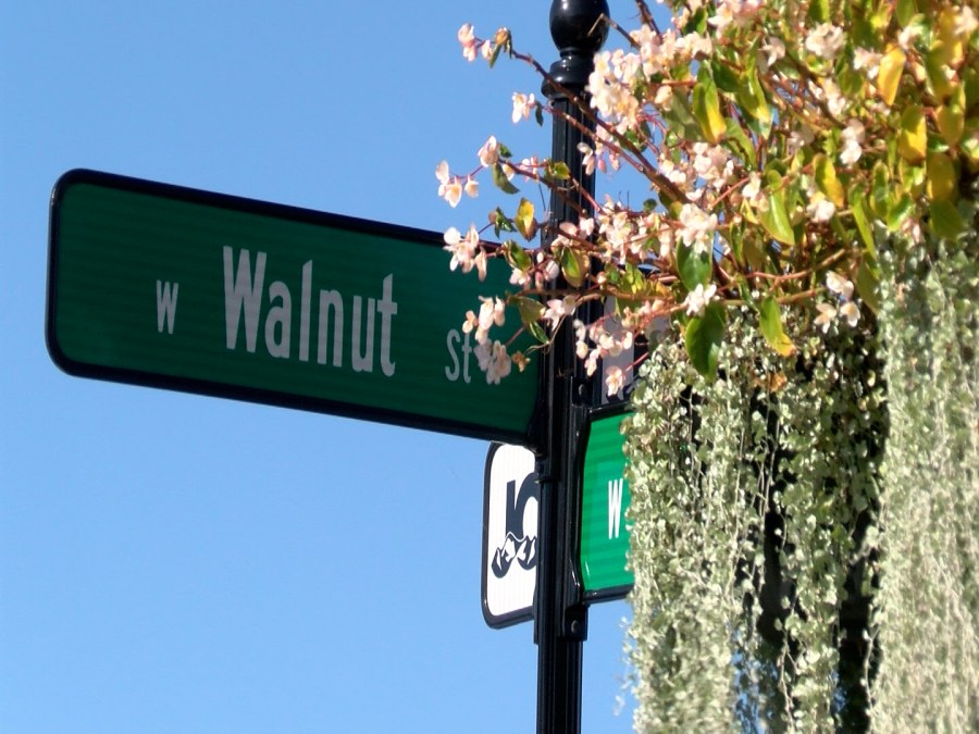 ‘Welcome to Walnut’ event celebrates renovations and honors businesses
