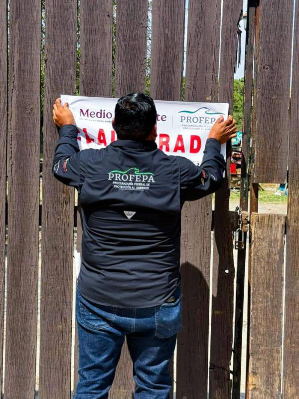 PROFEPA clausura La Pastora tras hallazgo alarmante: la osa “Mina ...